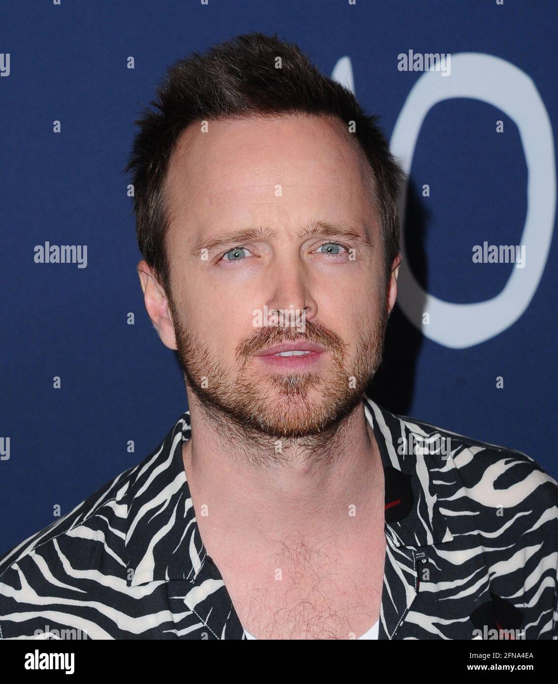 Los Angeles - CA - 0130/2020 Netflix`s BoJack Horseman Final Episodes Photo Call -PICTURED ...